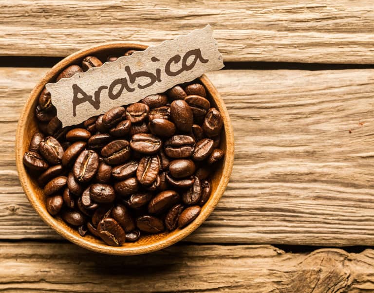 The Best Costa Rica Coffee Tours: Sip Your Way Through Paradise