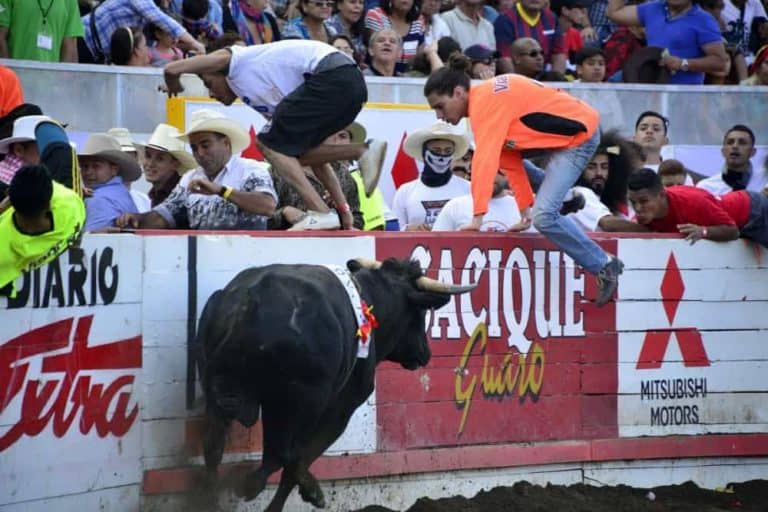 A Guide to Bullfighting in Costa Rica: Toros a la Tica and Fiestas de ...