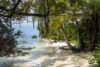 The Fascinating History of Limon, Costa Rica - Tico Travel