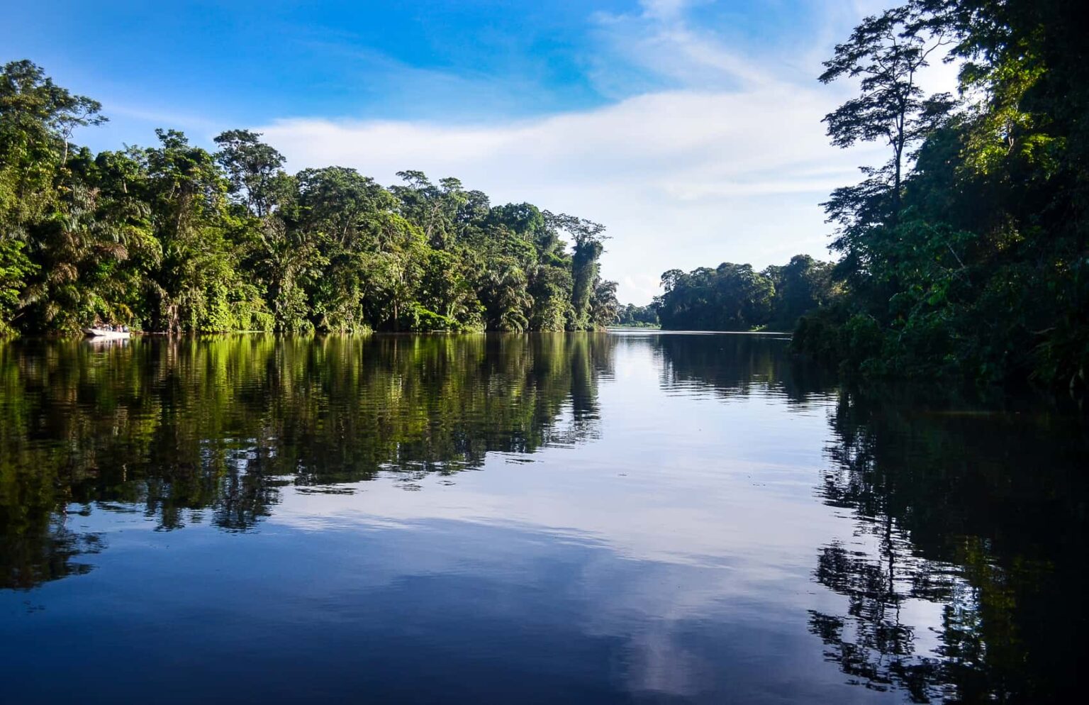 Costa Rica Ecotourism Guide: Best Places and Hands-On Activities for ...